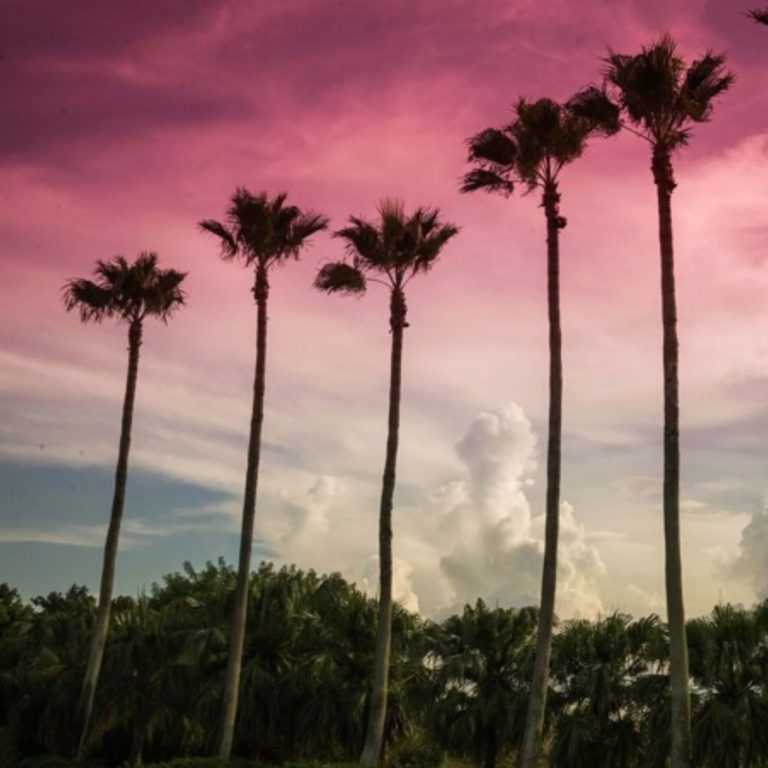 Work Drugs ‘Roll’ | Kings of A&R